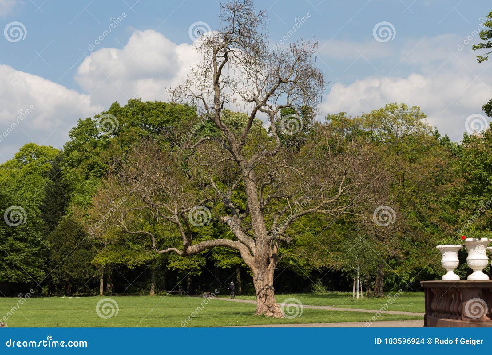 Los Parques Alemanes Adentro Pueden Foto de archivo - Imagen de ...