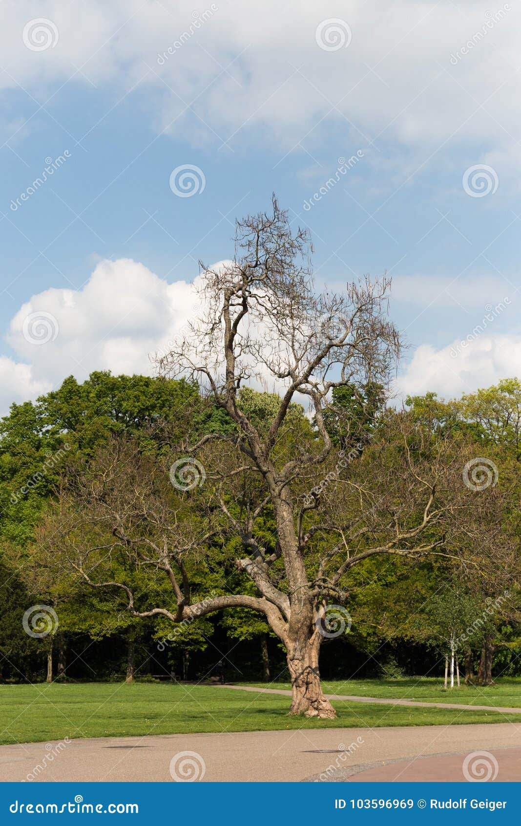 Los Parques Alemanes Adentro Pueden Imagen de archivo - Imagen de ...