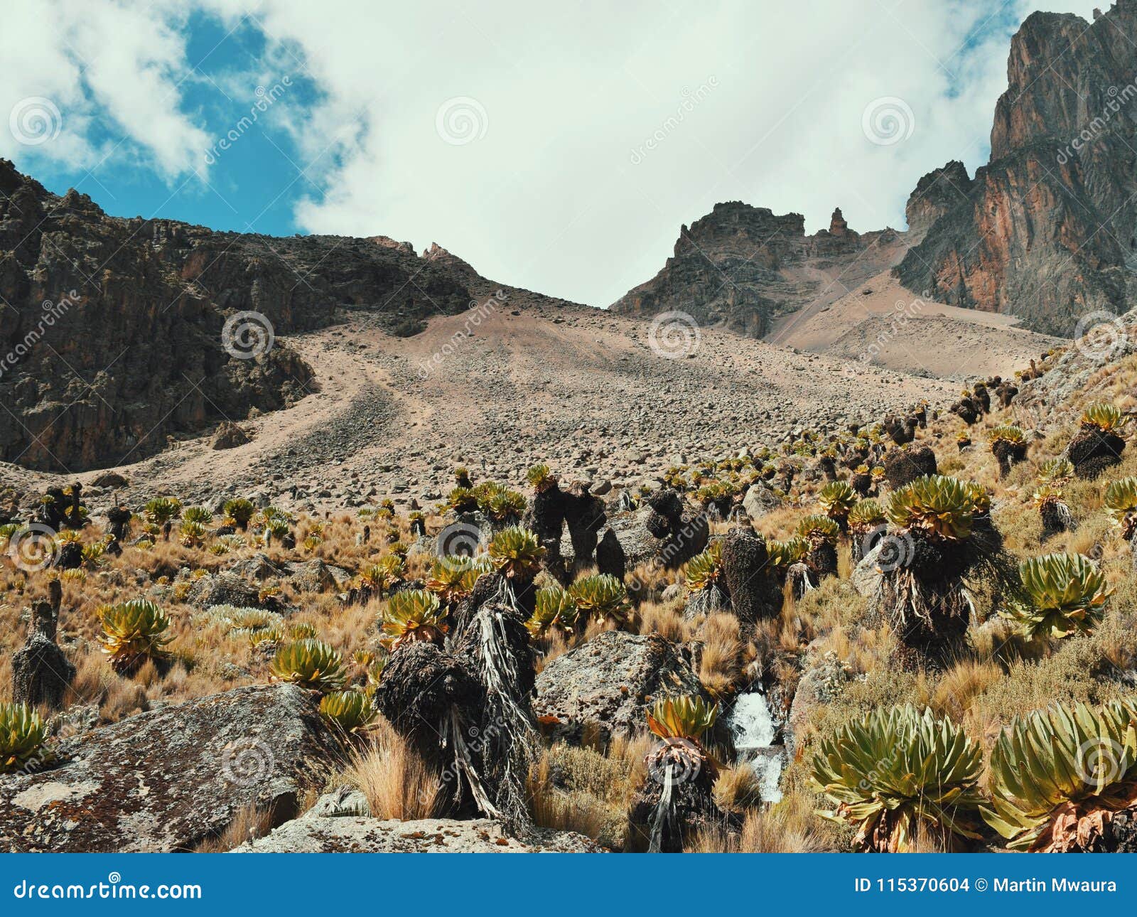 Los picos del monte Kenia foto de archivo. Imagen de parque - 115370604