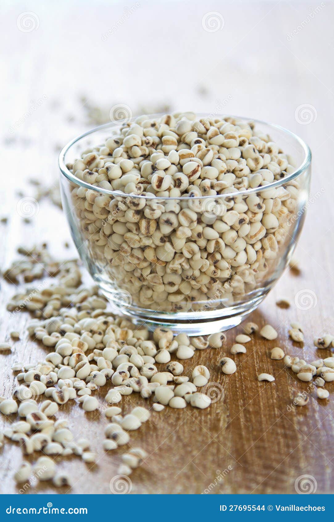 Los rasgones del trabajo foto de archivo. Imagen de travieso - 27695544