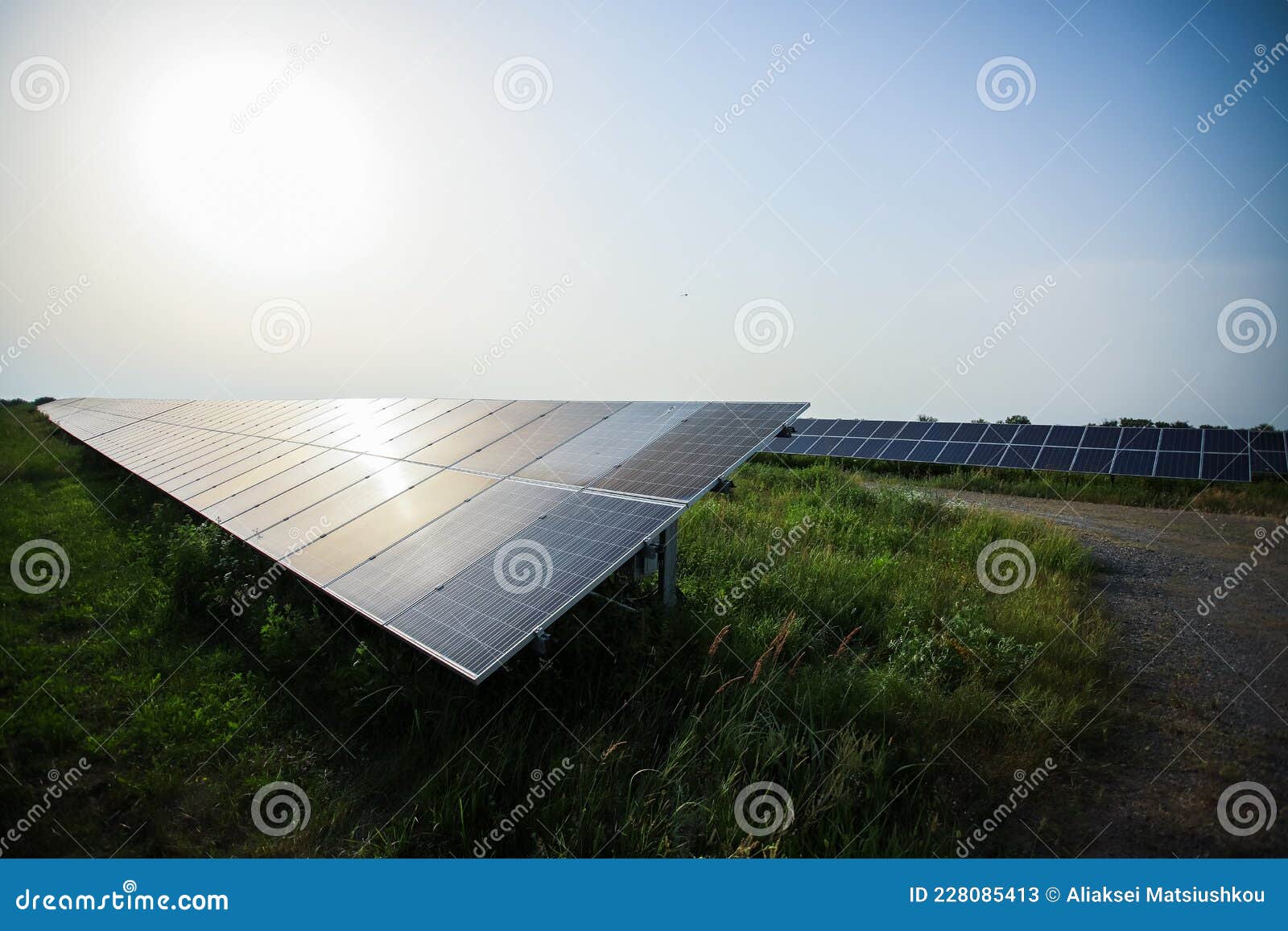 Los Rayos Solares Caen Maravillosamente Sobre Paneles Solares Imagen de ...