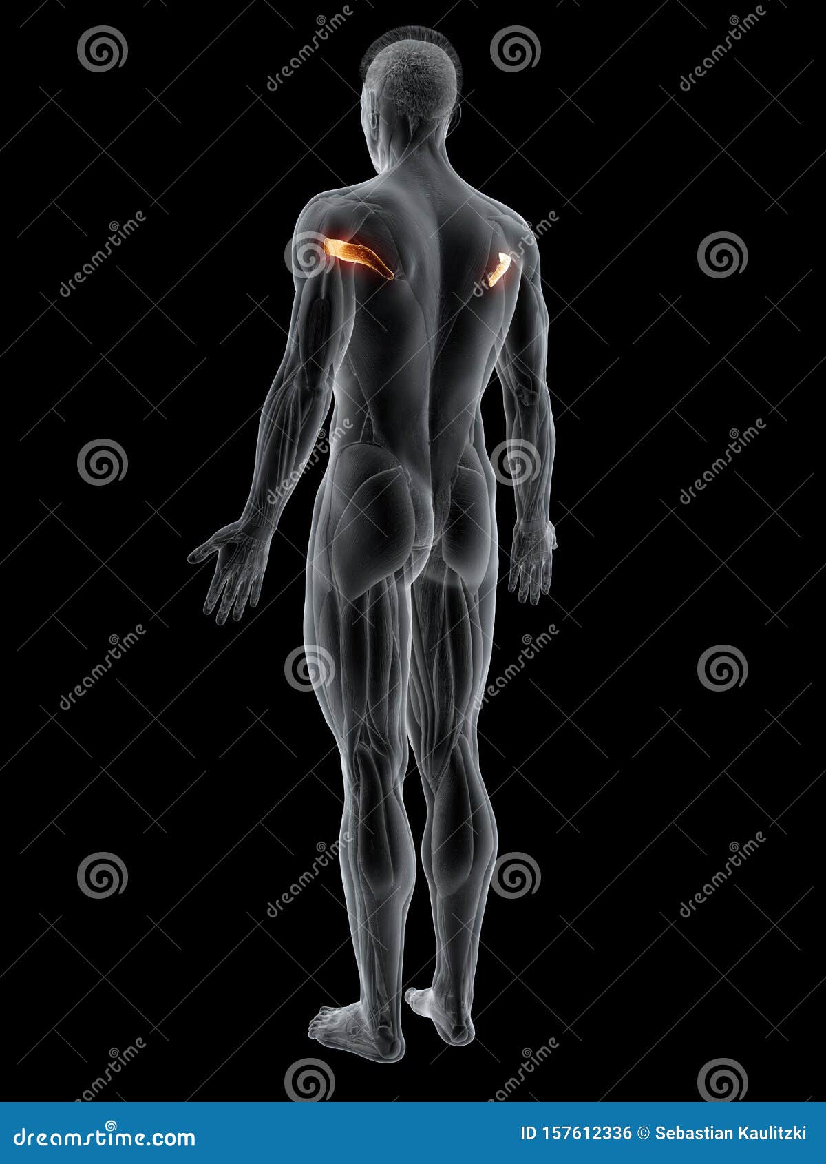 Los tres grandes stock de ilustración. Ilustración de ciencia - 157612336