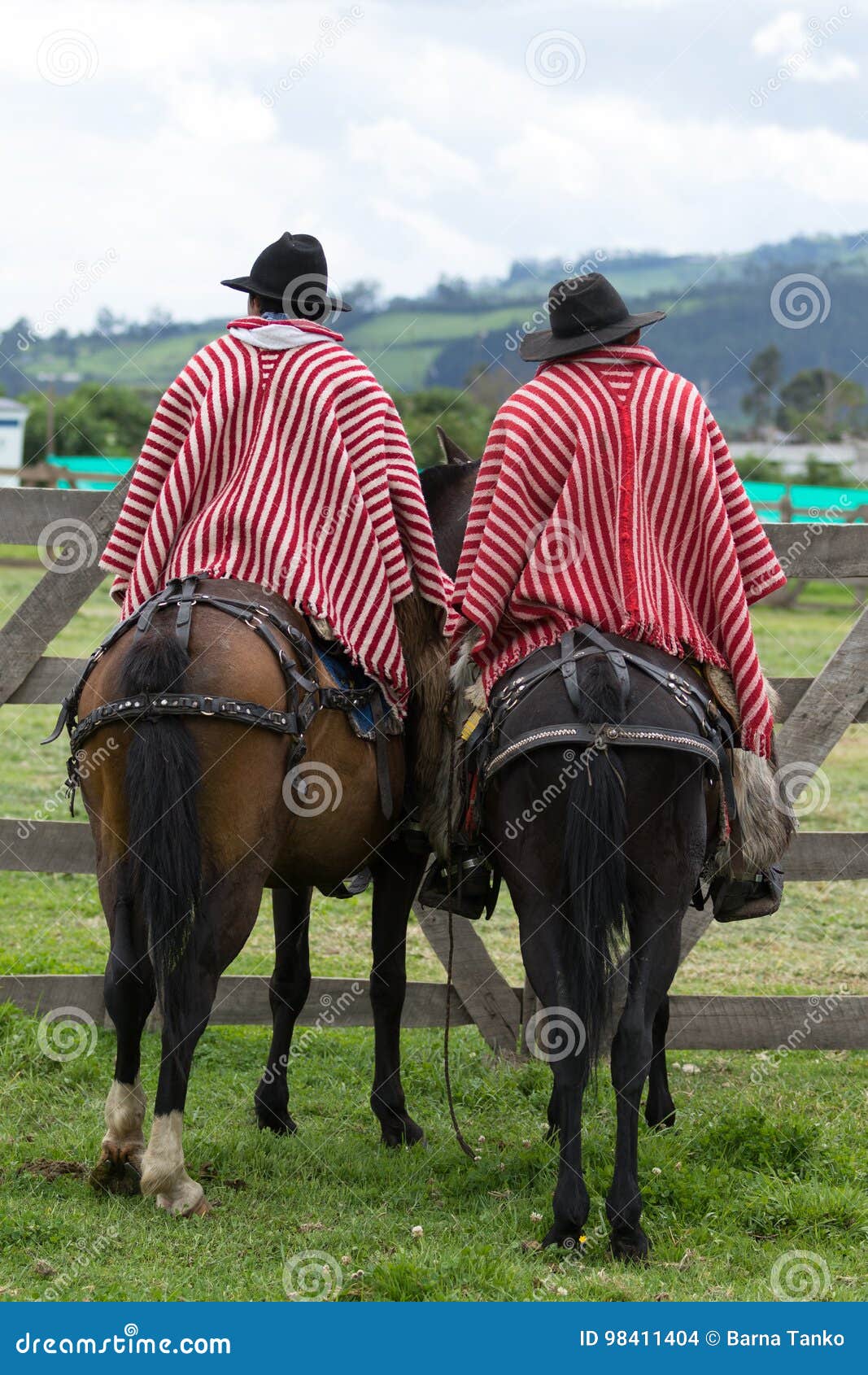 Los Vaqueros De Los Andes Llamaron Chagra En Ecuador Imagen de archivo ...