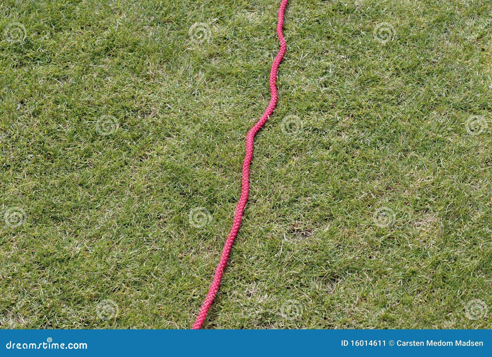 Lose the red thread stock image. Image of grass, garden - 16014611