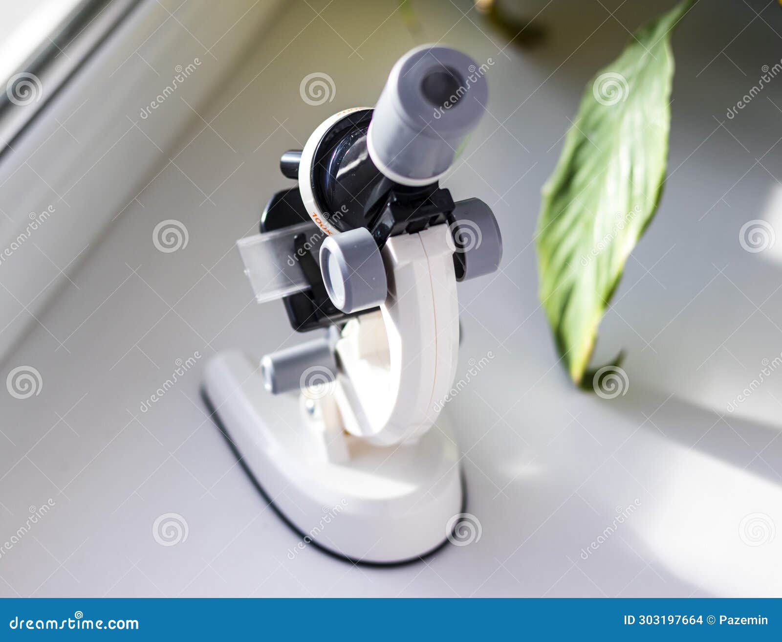 Close Up Shot of the Microscope on the Window. Science Stock Photo ...