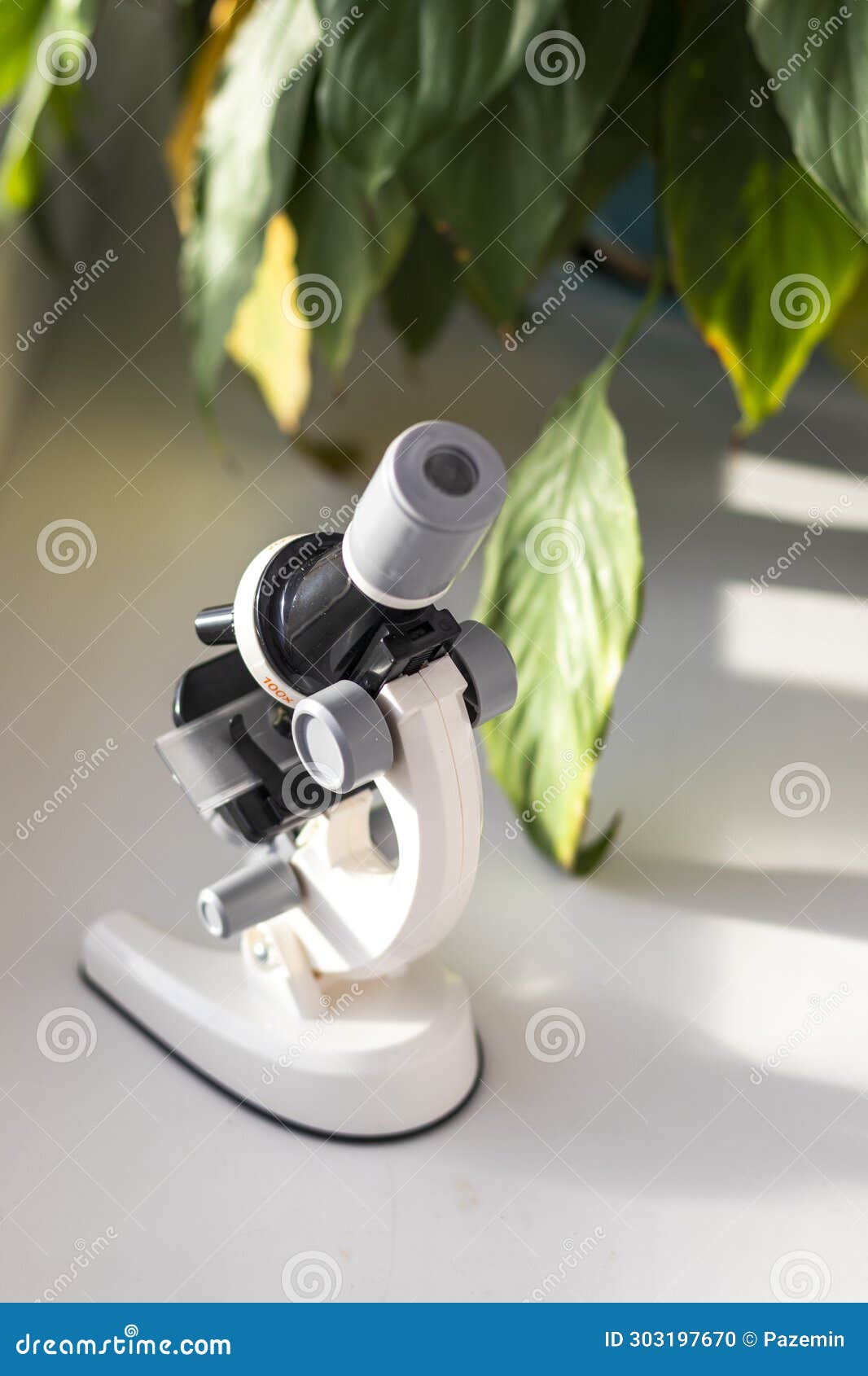Close Up Shot of the Microscope on the Window. Science Stock Photo ...
