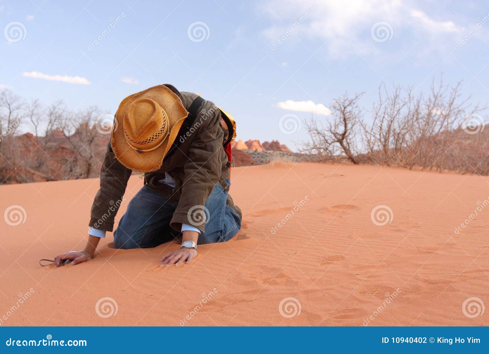 Losing faith in the desert stock photo. Image of coyote - 10940402