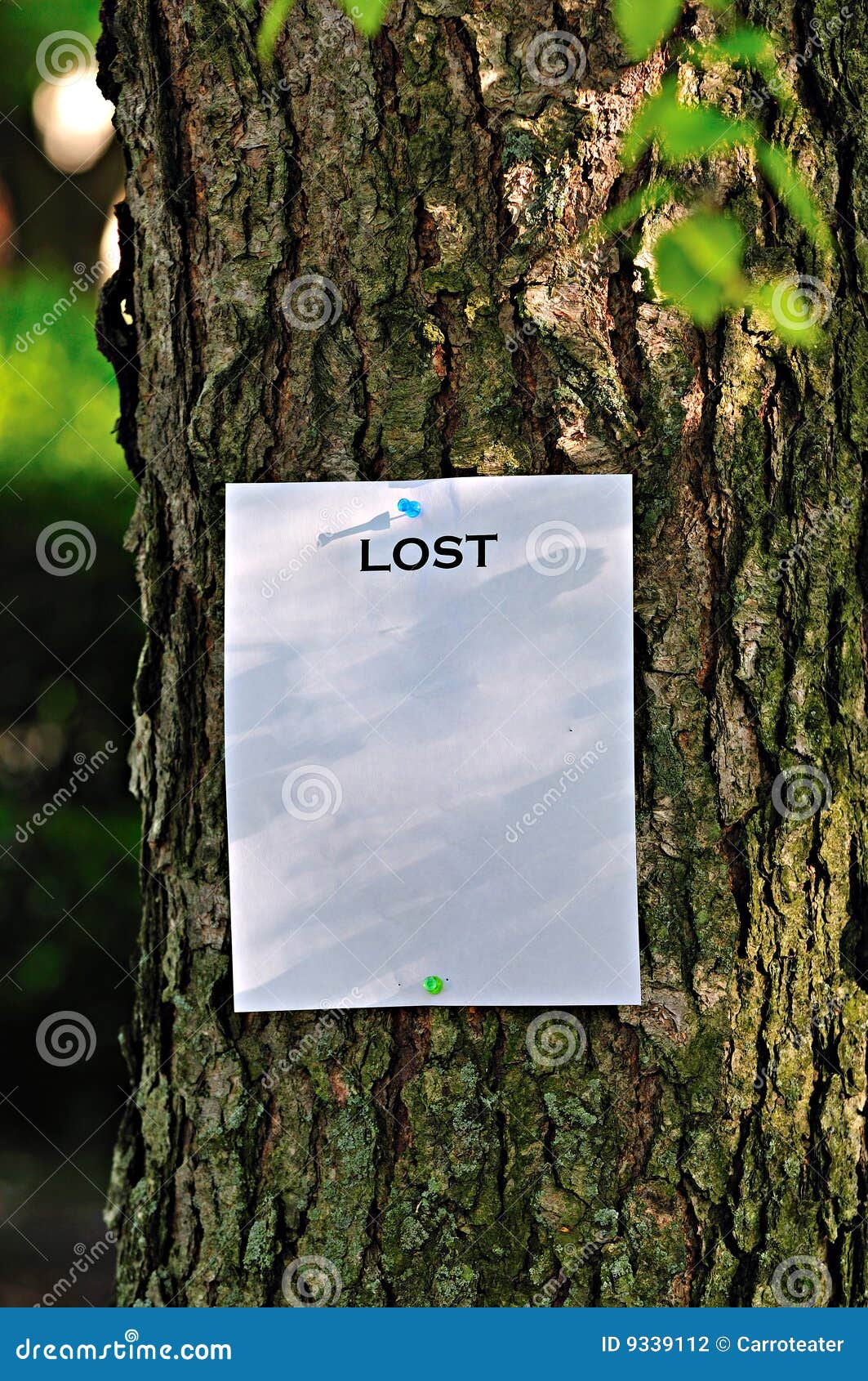 Lost stock photo. Image of concept, help, bounty, lost - 9339112