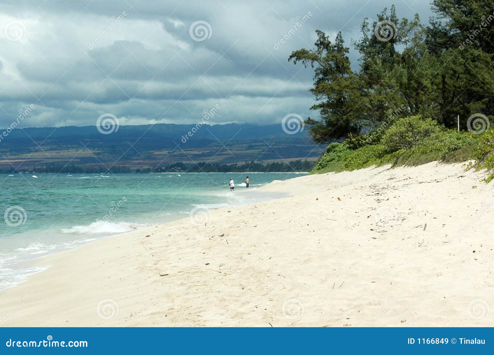 Lost Beach stock image. Image of north, power, surfing - 1166849