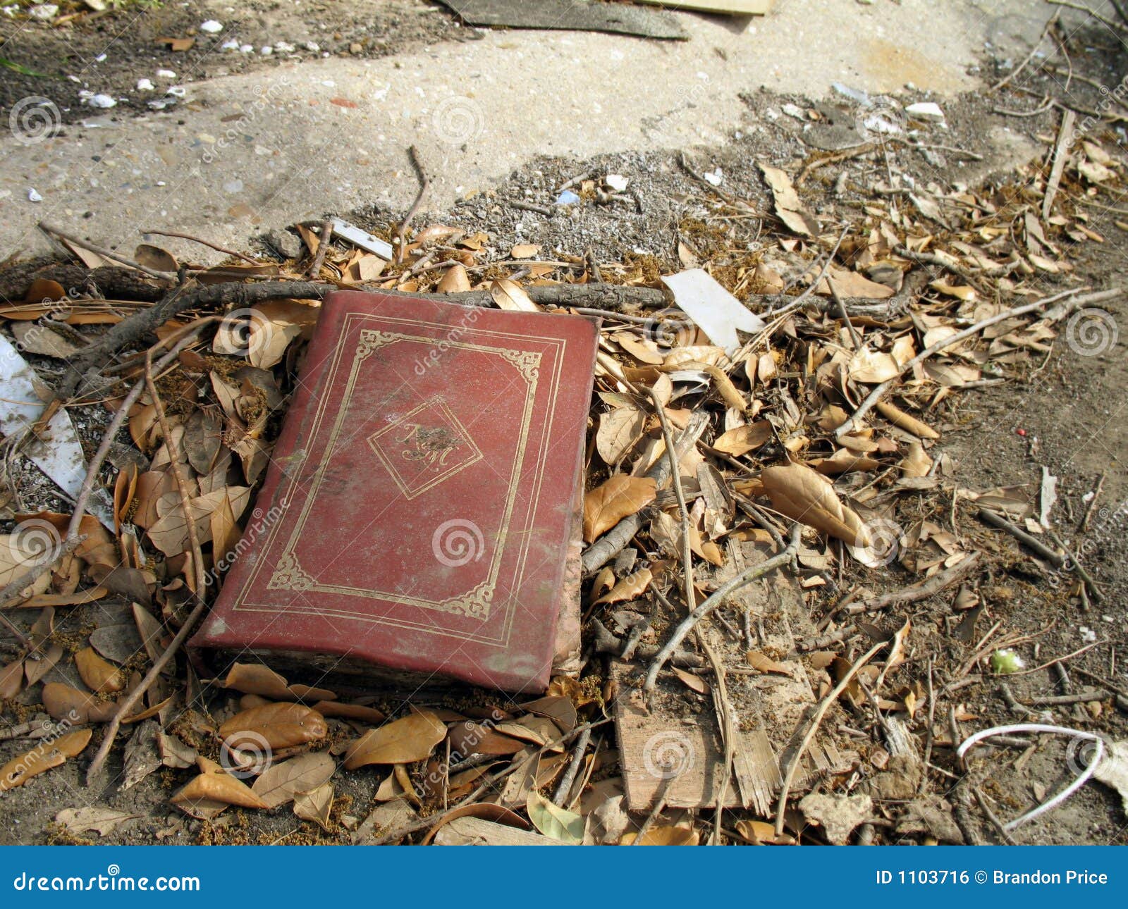 Lost Book stock photo. Image of book, displaced, forgotten - 1103716