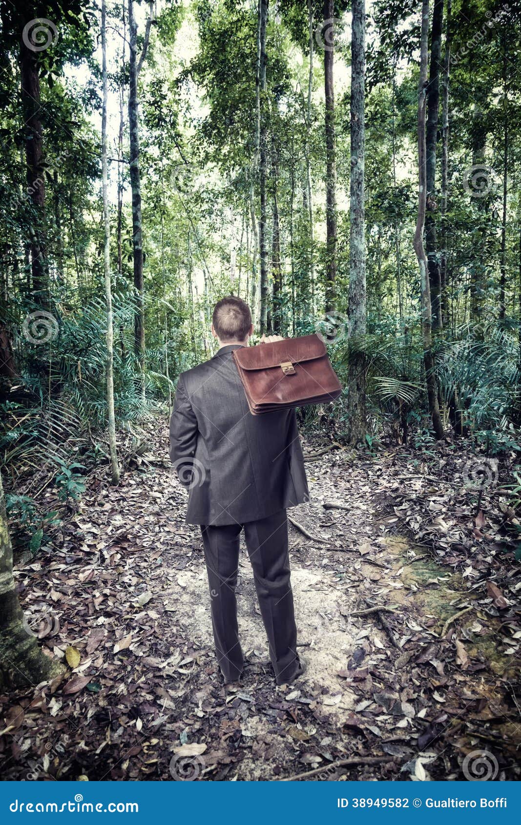 Lost stock photo. Image of nature, forest, solution, standing - 38949582