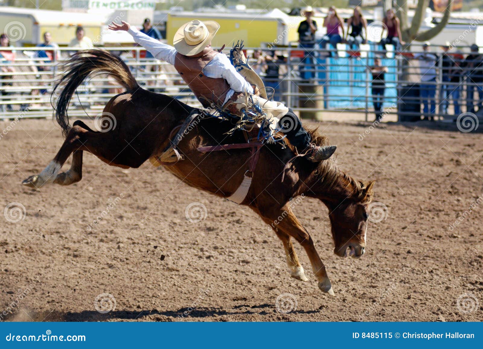 Lost Dutchman Days Rodeo editorial image. Image of lost - 8485115