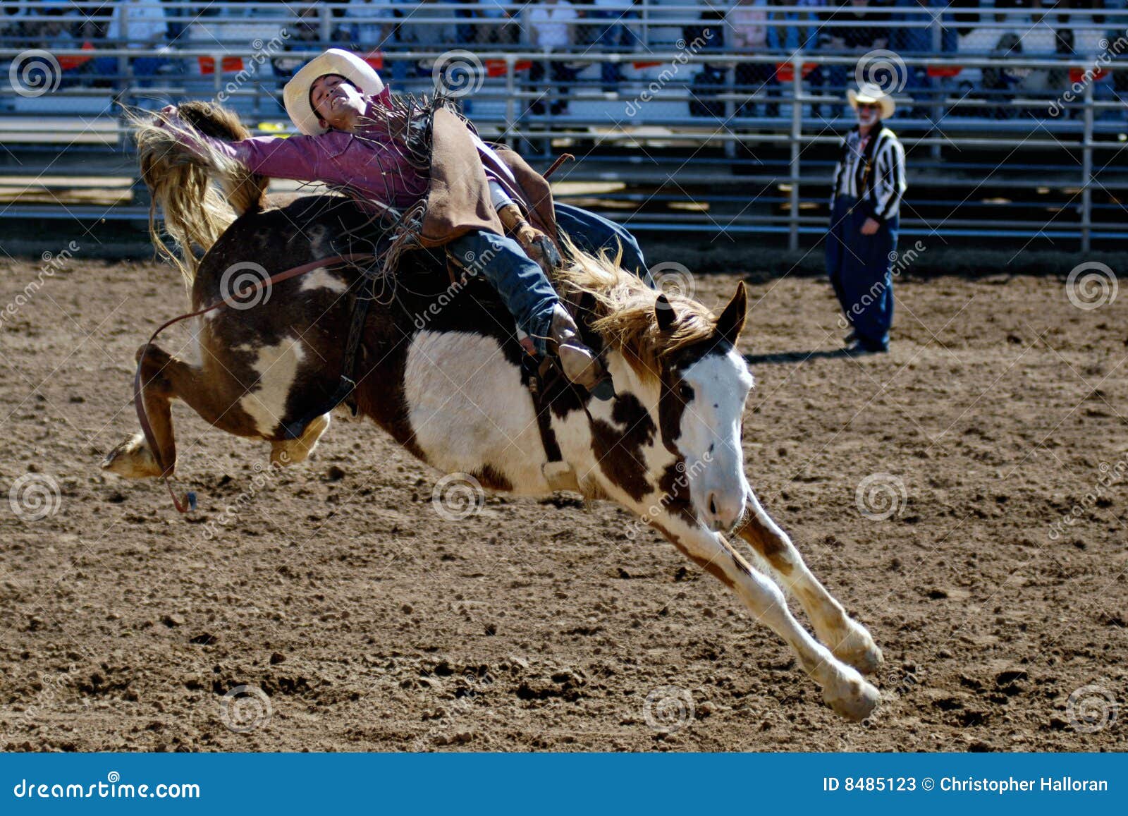 Lost Dutchman Days Rodeo editorial stock photo. Image of bucking - 8485123