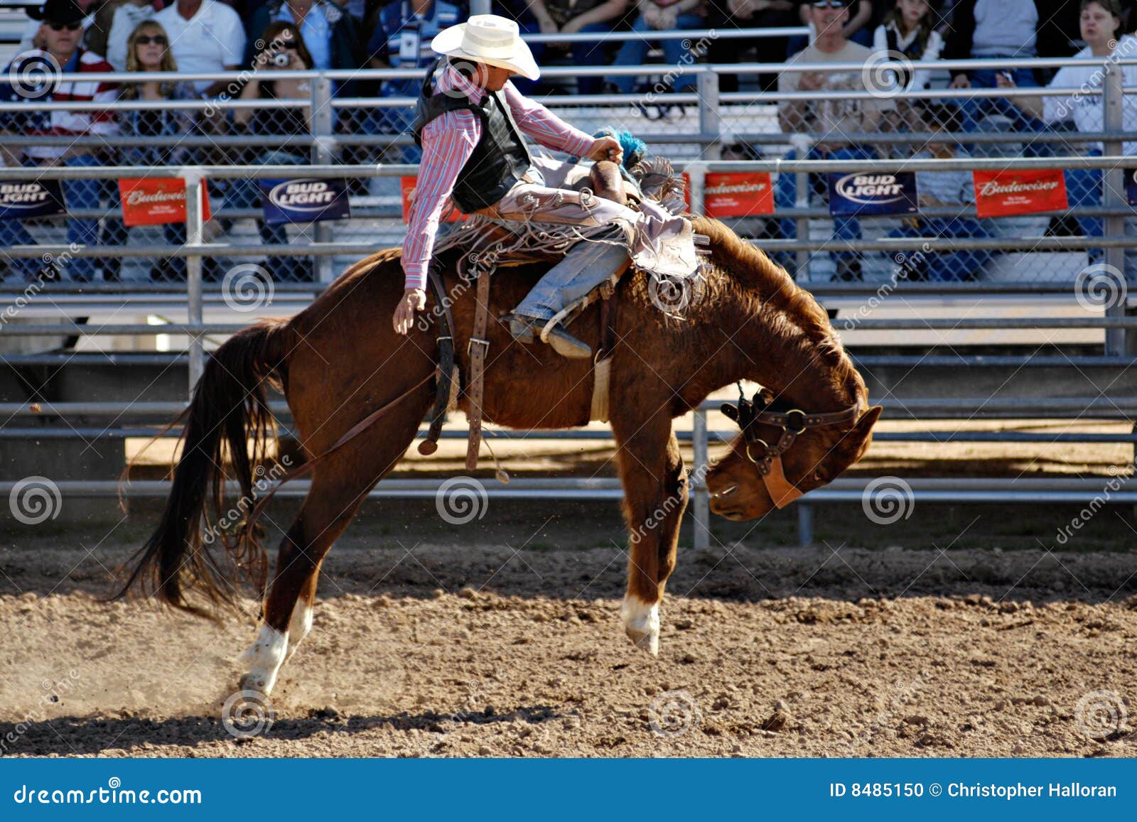Lost Dutchman Days Rodeo editorial image. Image of junction - 8485150
