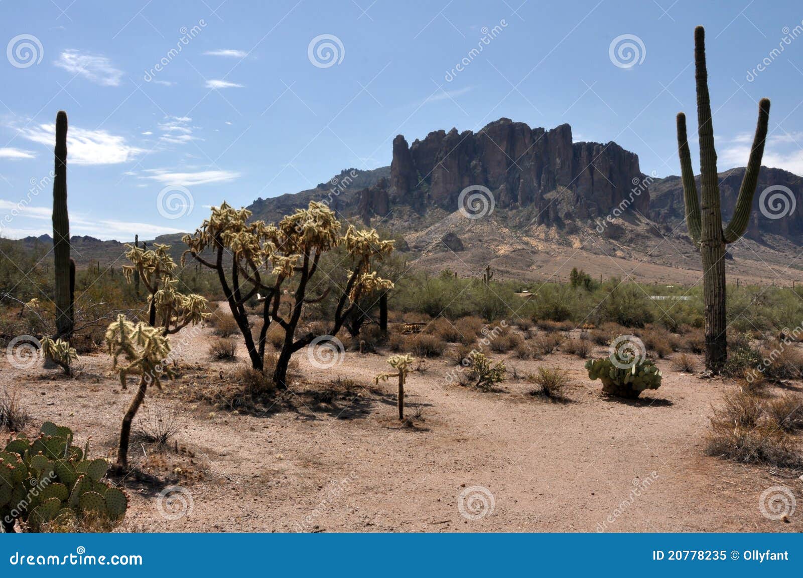 Lost Dutchman State Park stock image. Image of state - 20778235