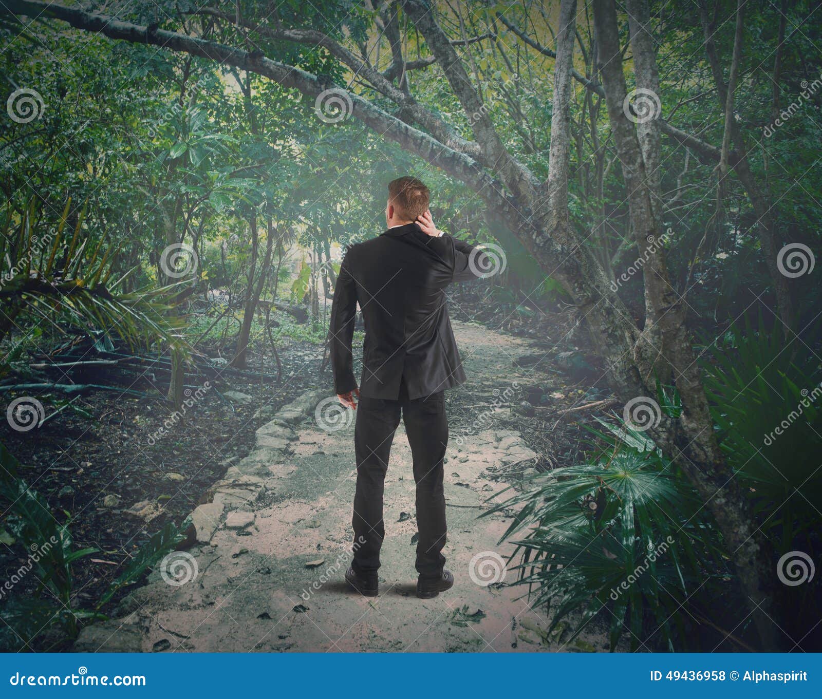 Lost in the forest stock photo. Image of choose, natural - 49436958