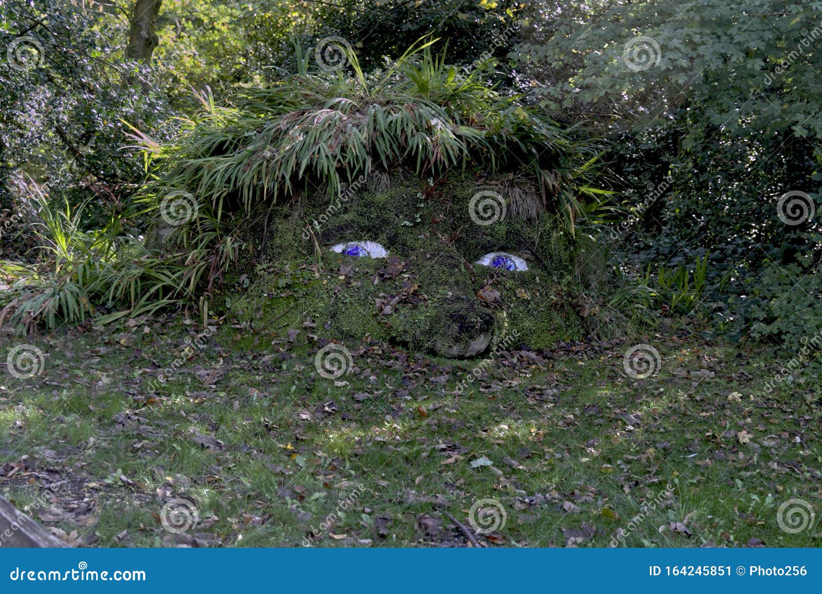 Lost Gardens of Heligan Cornwall Editorial Photo - Image of gardens ...