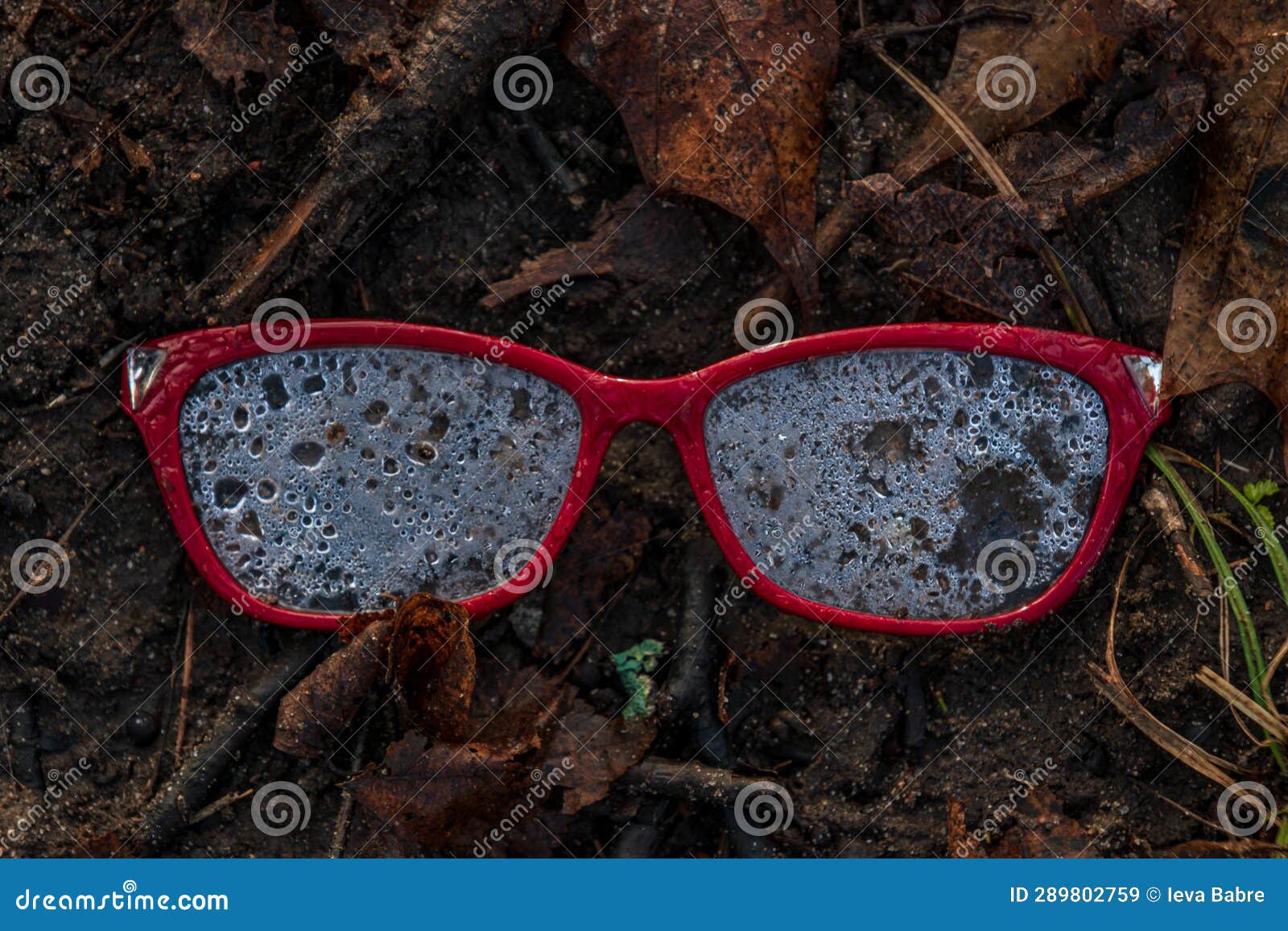 Lost Glasses with Red Frames. with Water Drops, Glasses Glass in Red ...