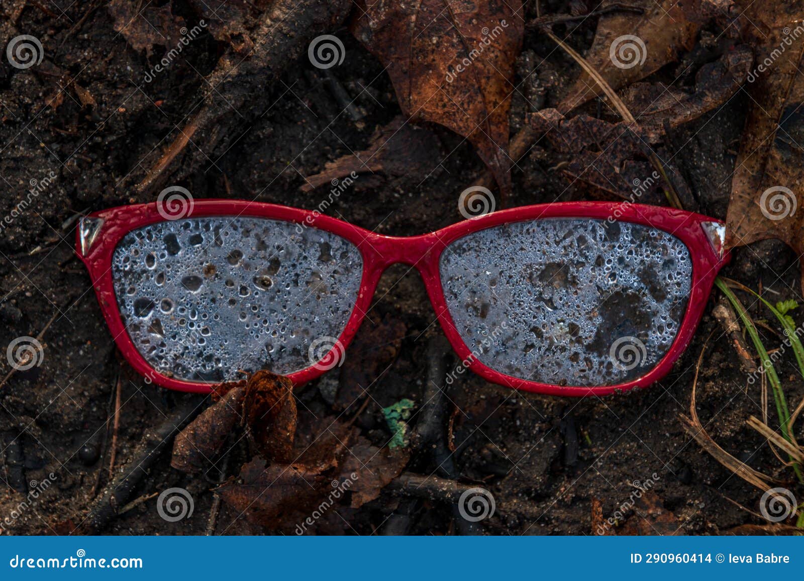 Lost Glasses with Red Frames. with Water Drops, Glasses Glass in Red ...