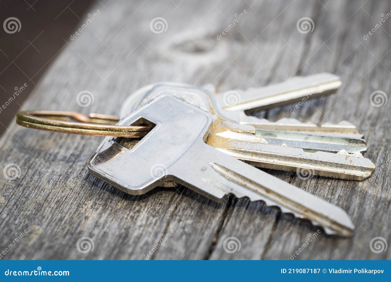 Lost Car Keys Lying On The Grass In A Park, Somebody Dropped Auto ...