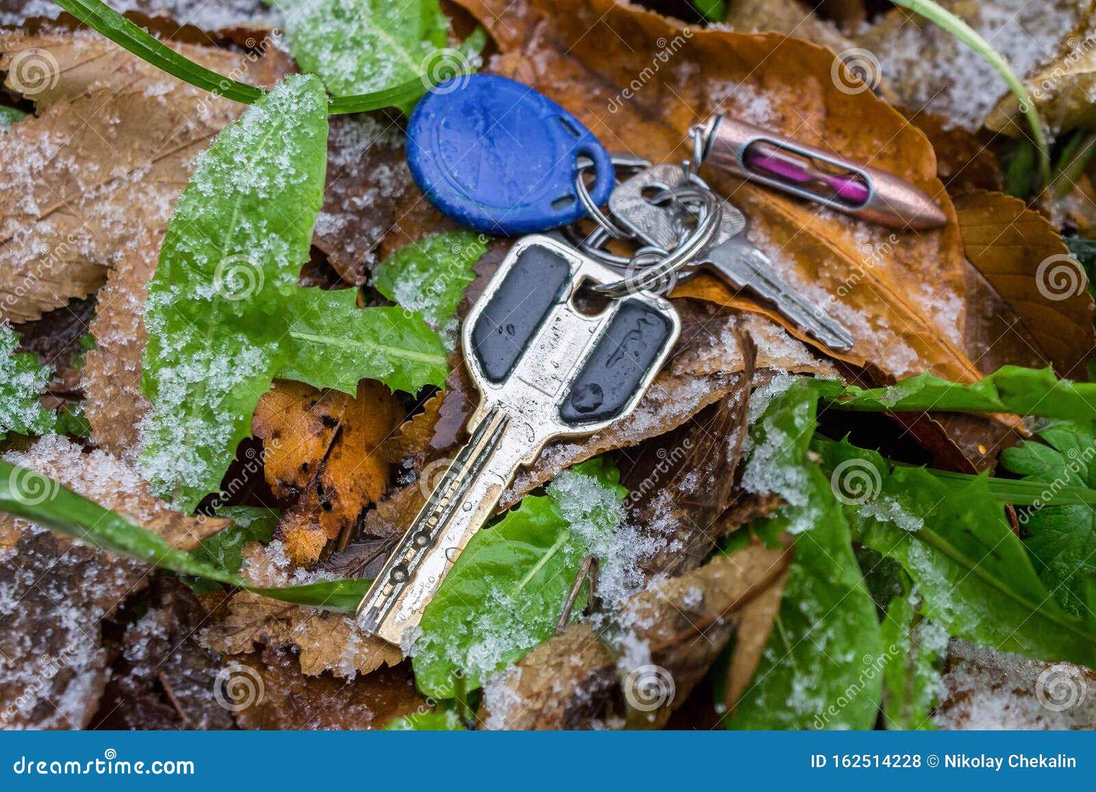 Lost Keys Lie in the Grass Covered with a Thin Layer of Wet Snow Stock ...