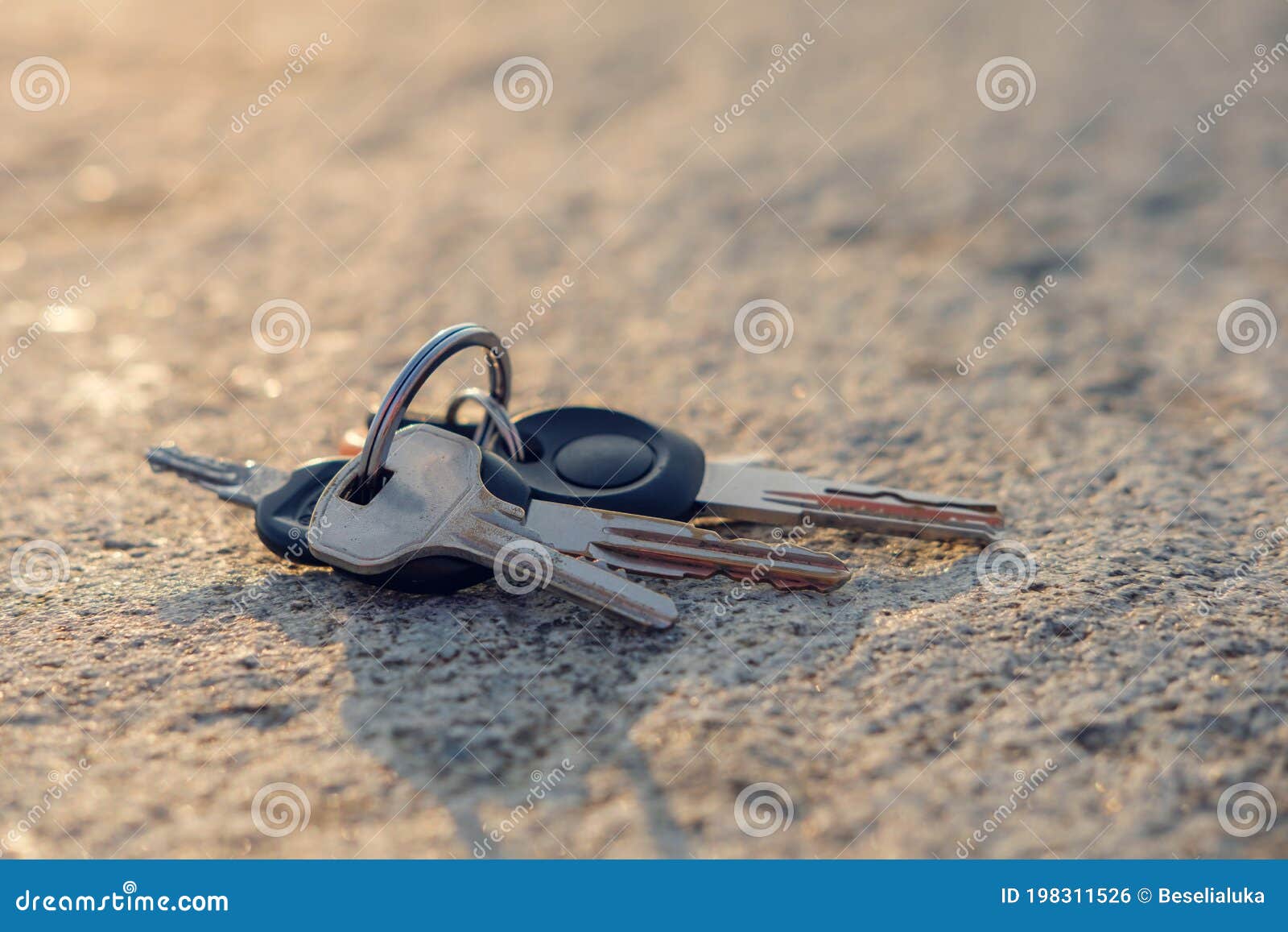 A Lost Keys on the Ring on the Ground Illuminated with Sun Rays Stock ...