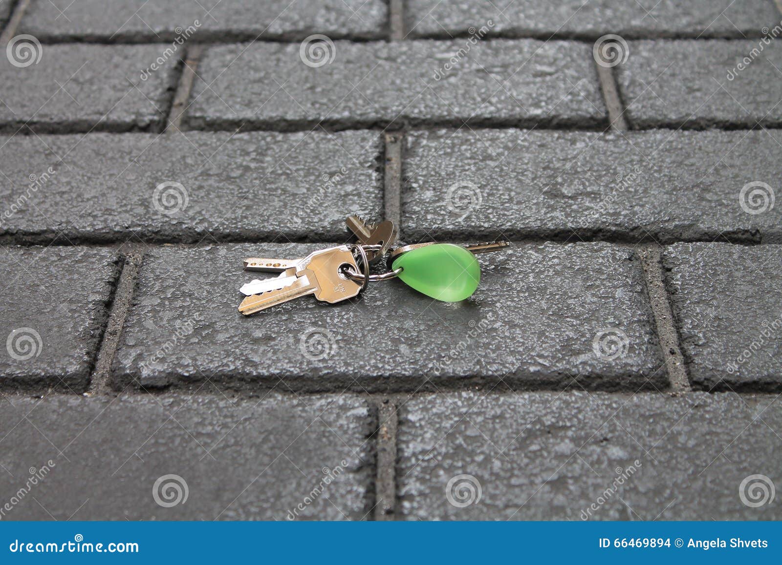 Lost keys stock photo. Image of bunch, street, keys, lost - 66469894