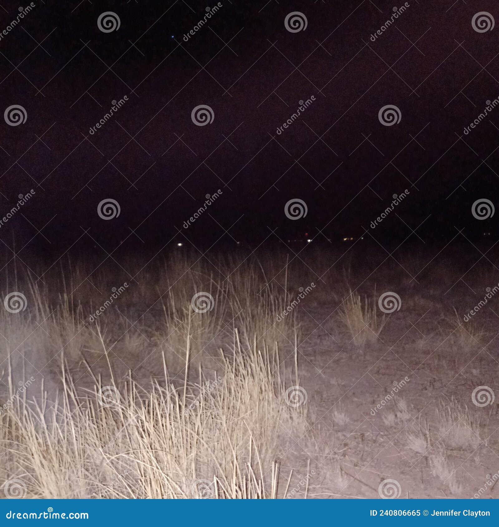 Lost in the land stock image. Image of landscape, lost - 240806665