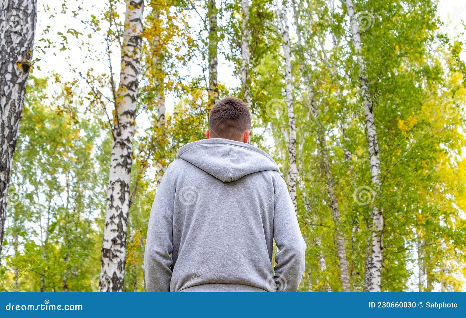 Lost Person In Woods