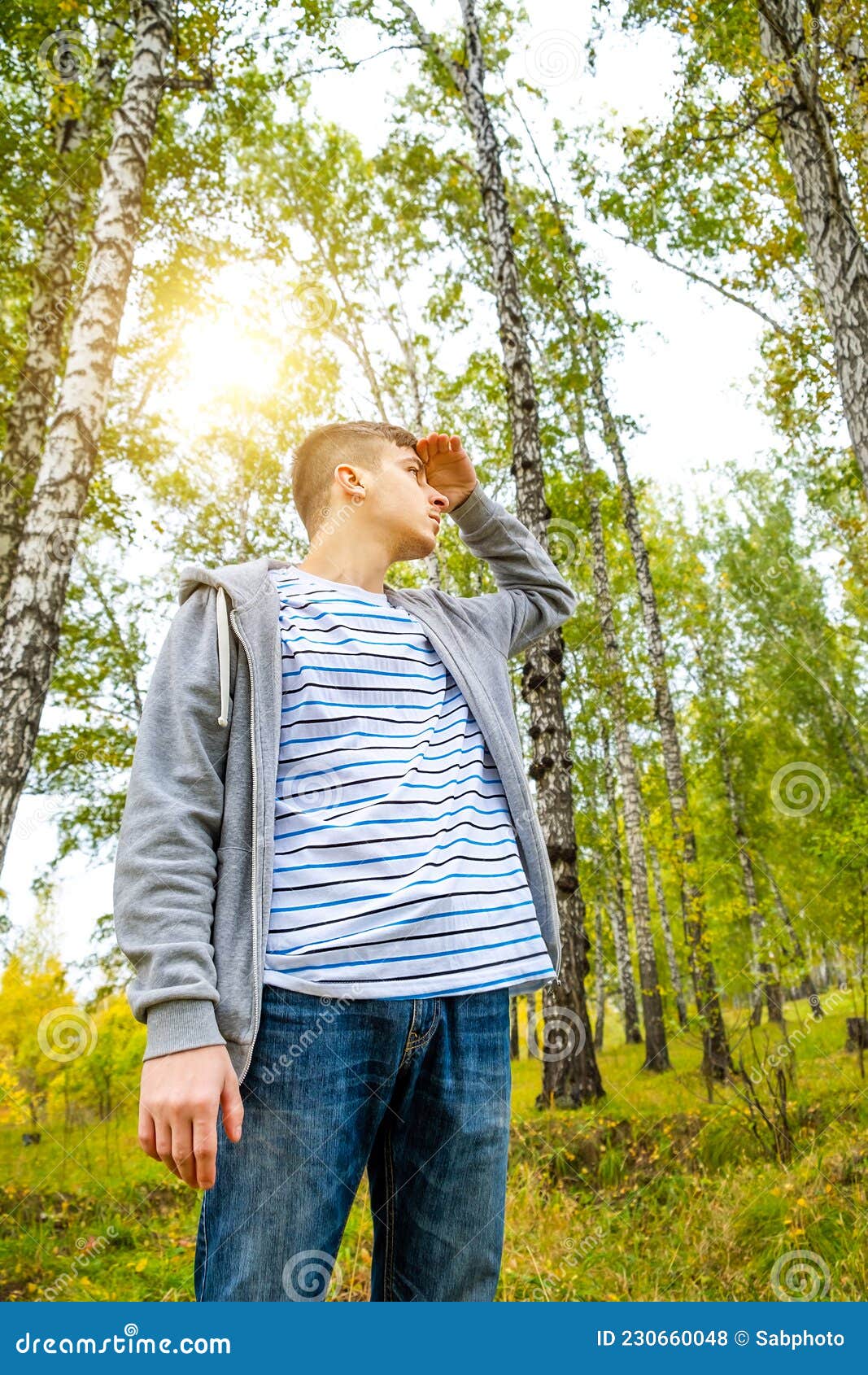 Lost Man in the Forest stock photo. Image of person - 230660048