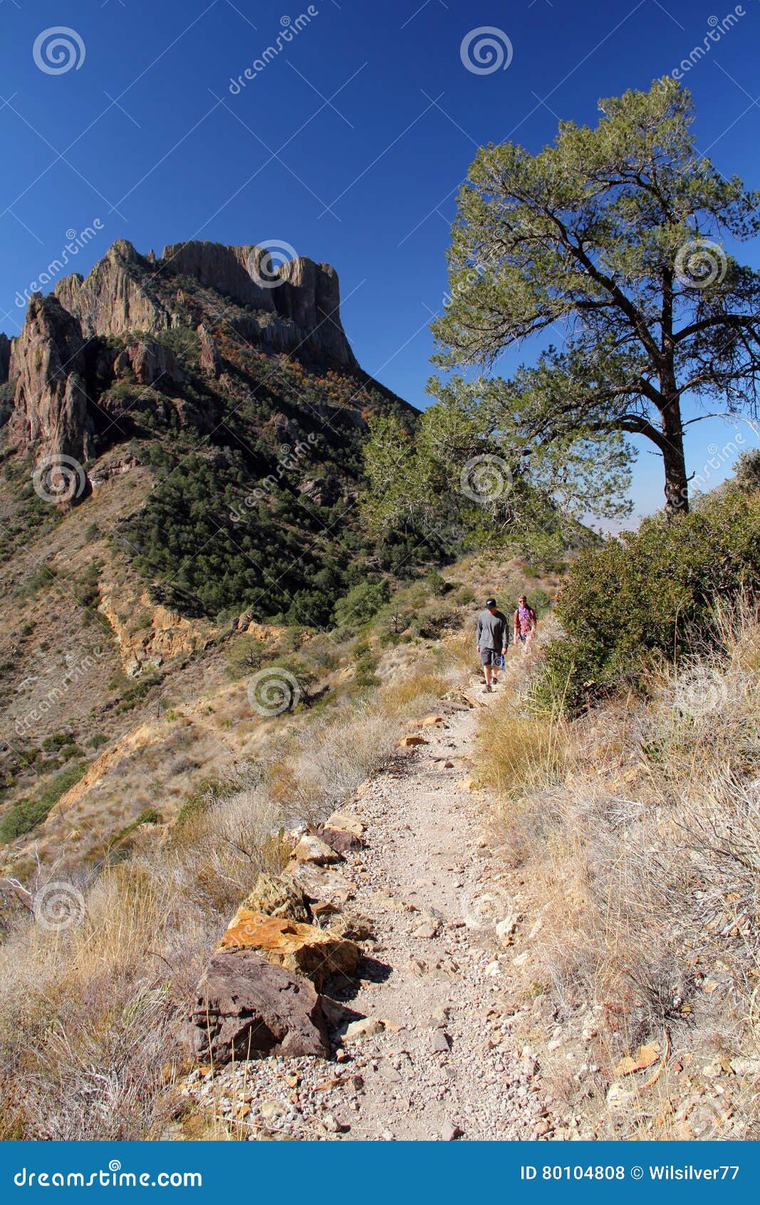Lost Mine Trail editorial stock photo. Image of nature - 80104808