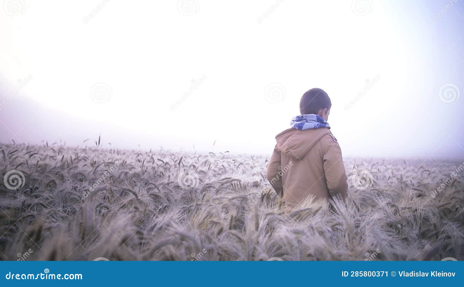 Lost in the Mist: a Sad Boy Roaming the Wheat Field Stock Video - Video ...