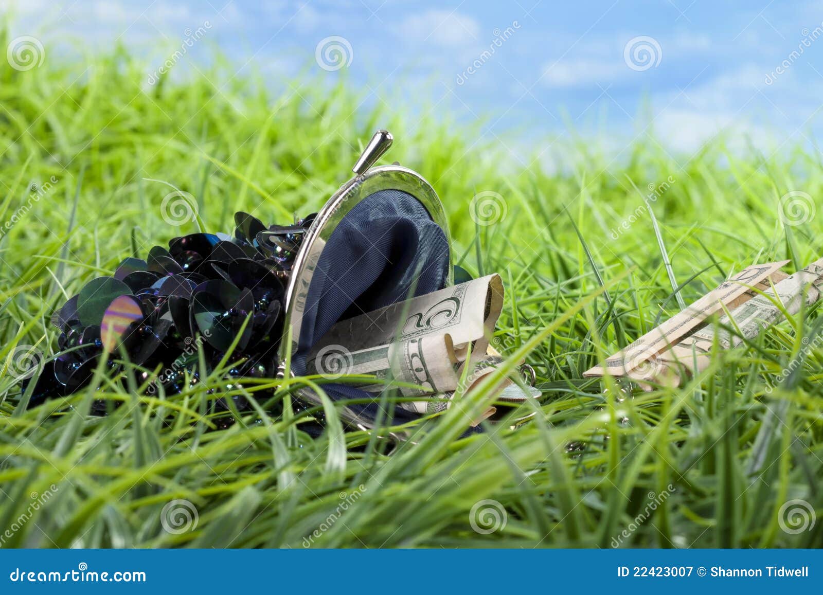Lost money in the grass stock image. Image of dollar - 22423007