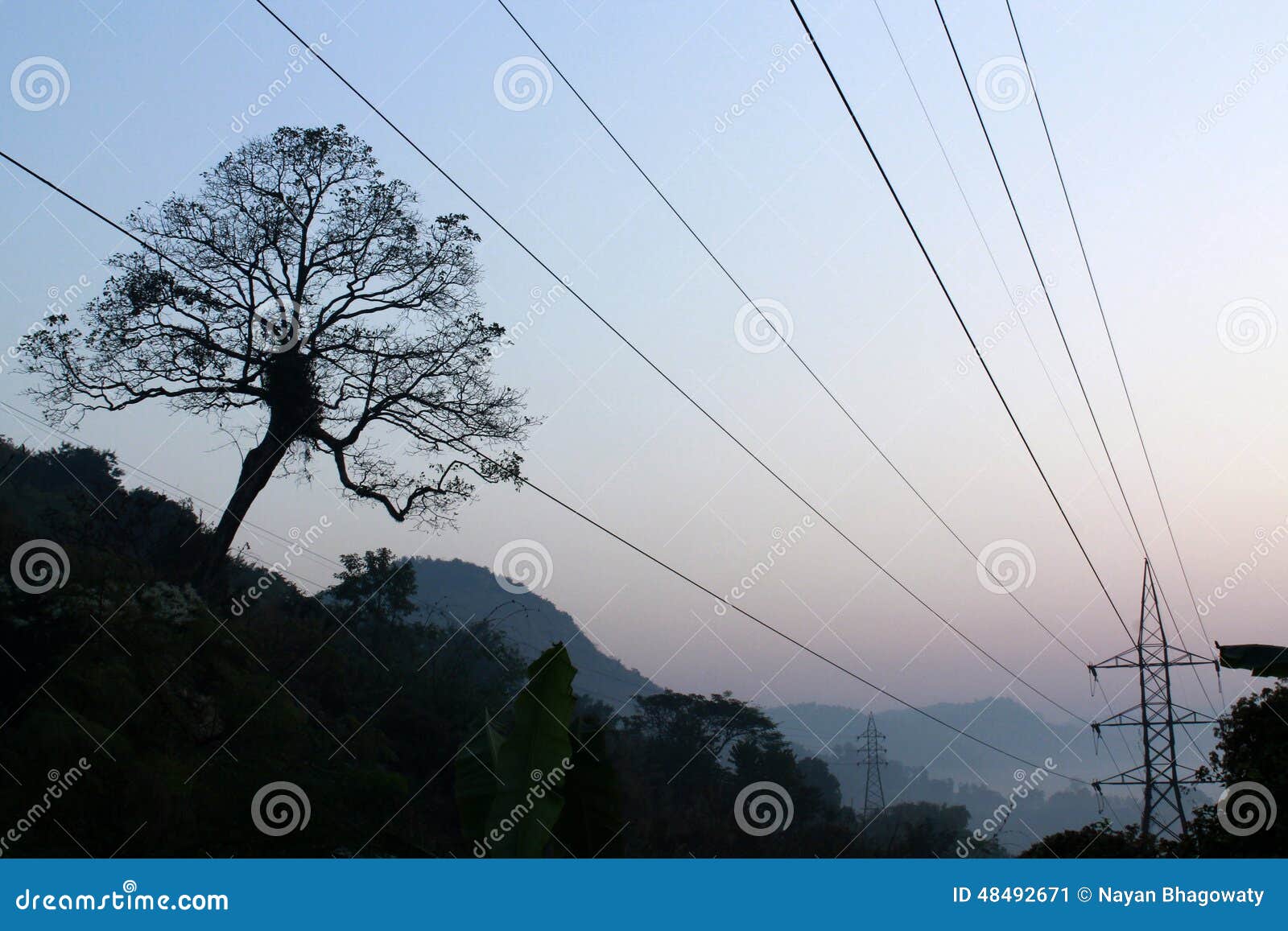 Lost Nature stock image. Image of forest, lost, tower - 48492671