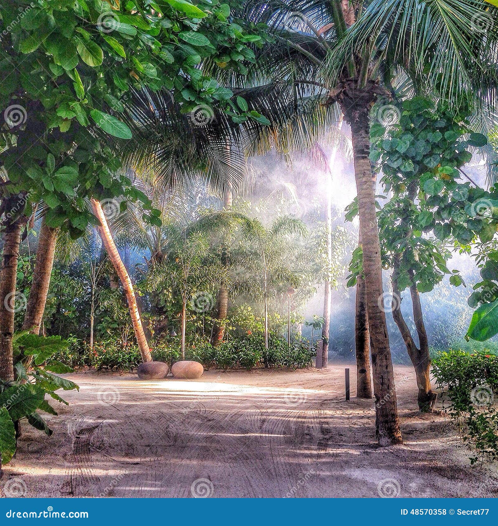 Lost path stock photo. Image of lost, smoke, resort, path - 48570358