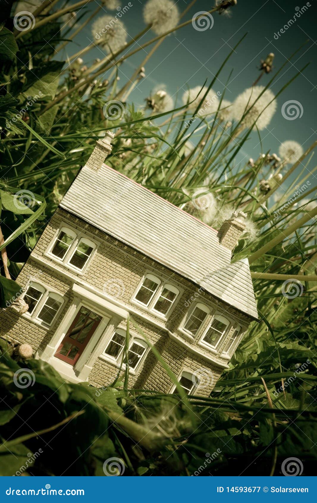 Lost Property stock image. Image of dandelion, house - 14593677
