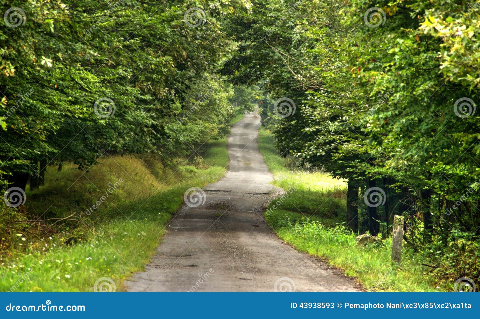 Lost Road stock image. Image of curve, grass, blue, walkway - 43938593
