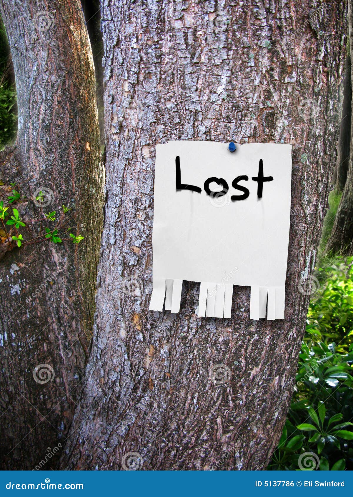 Lost sign stock photo. Image of text, copy, business, tree - 5137786