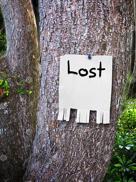 Lost sign stock photo. Image of text, copy, business, tree - 5137786