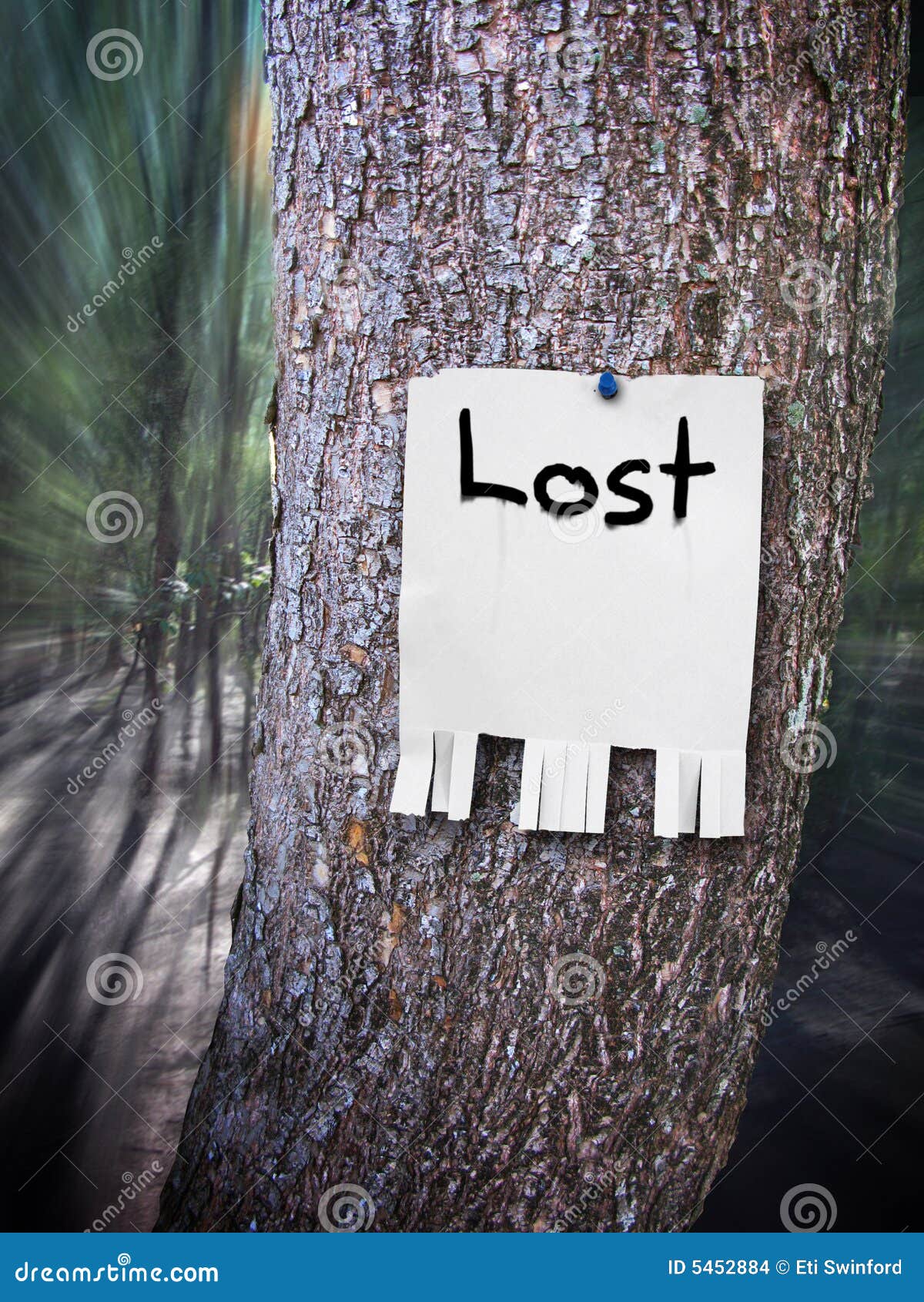 Lost sign stock photo. Image of metaphor, hang, space - 5452884