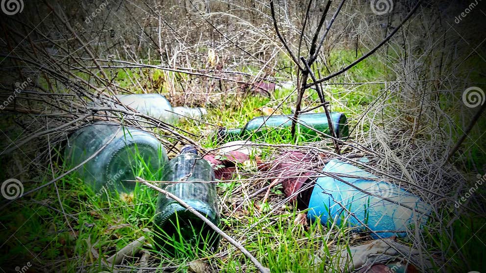 Lost tab stock image. Image of drunkenness, yard, lost - 83203677
