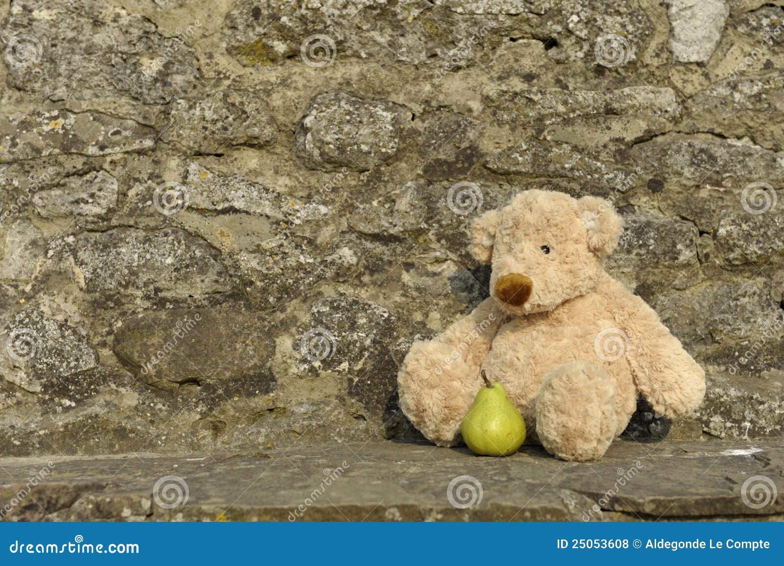 Lost Teddy bear outdoors stock photo. Image of brown - 25053608