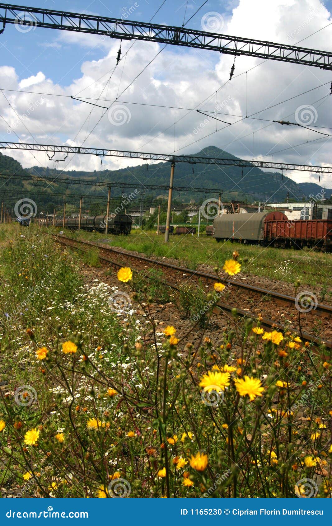 Lost trains stock photo. Image of tracks, tourism, fast - 1165230