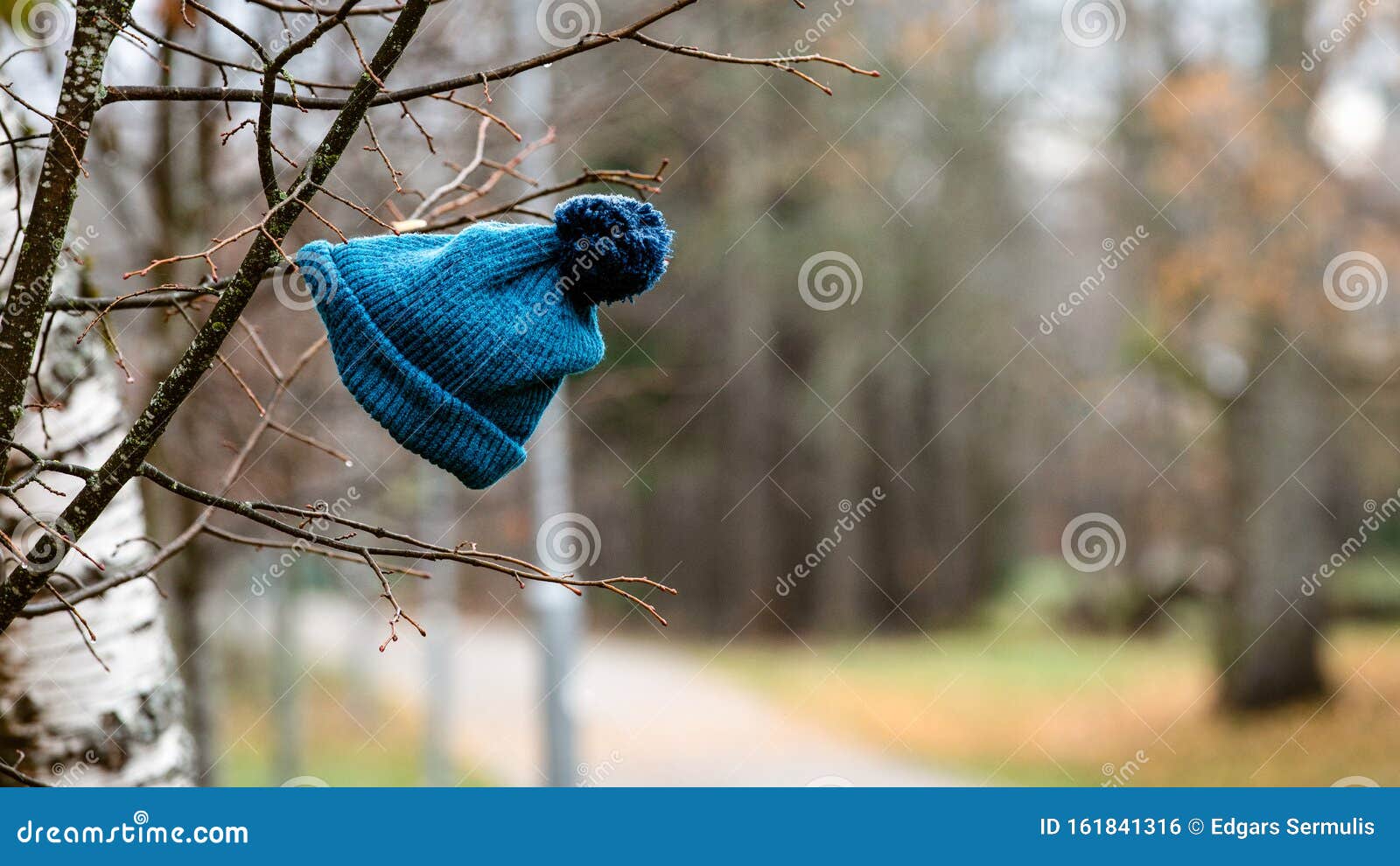 Lost Winter Hat on Tree Branches. Windy, Rainy Autumn Day Stock Photo ...