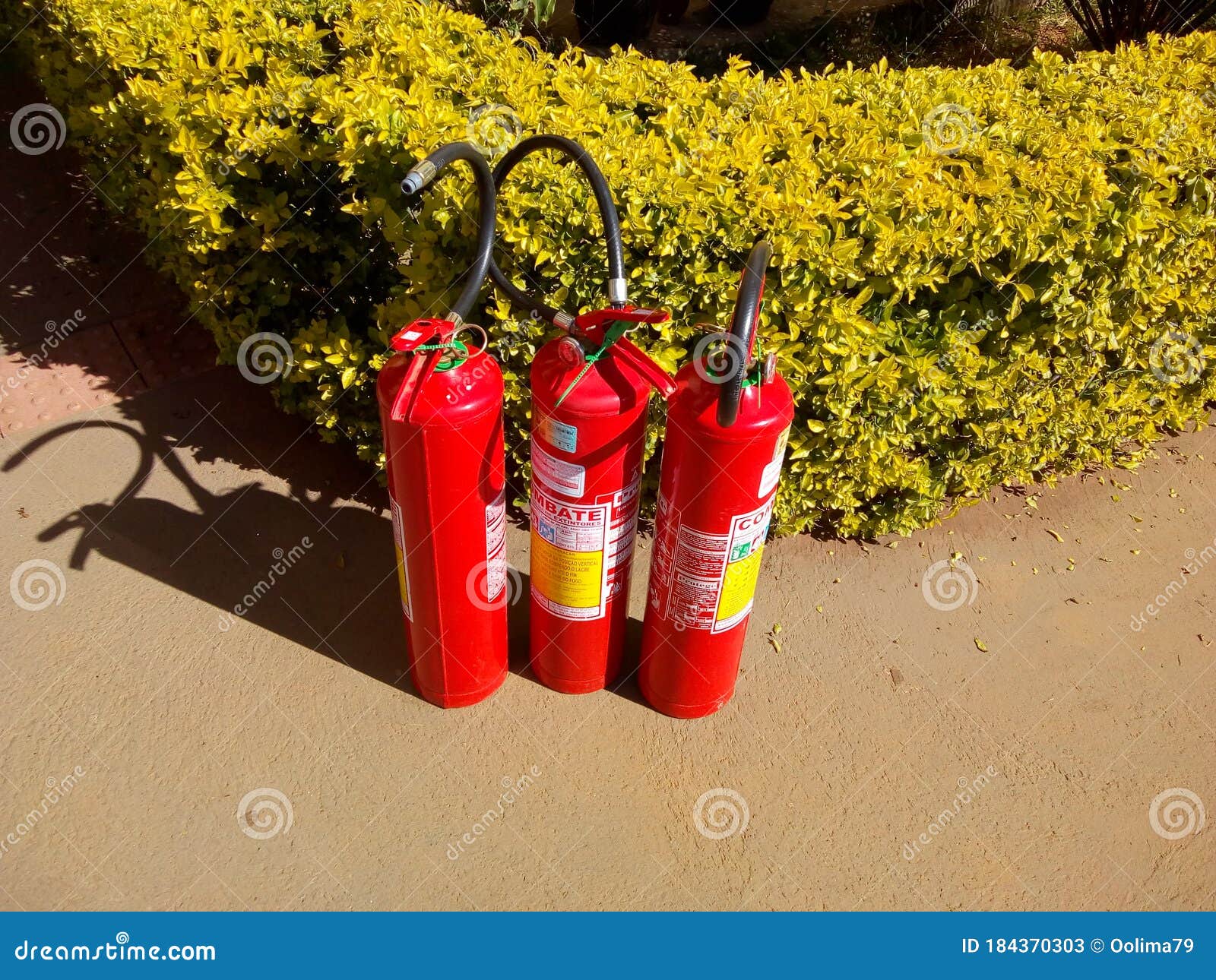 Lot of ABC Chemical Powder Fire Extinguishers. Editorial Stock Photo ...