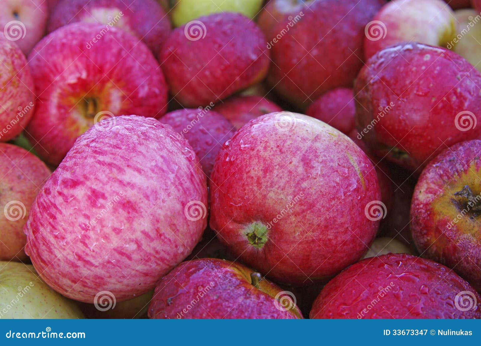 Lot of apples stock image. Image of fruit, ecological - 33673347