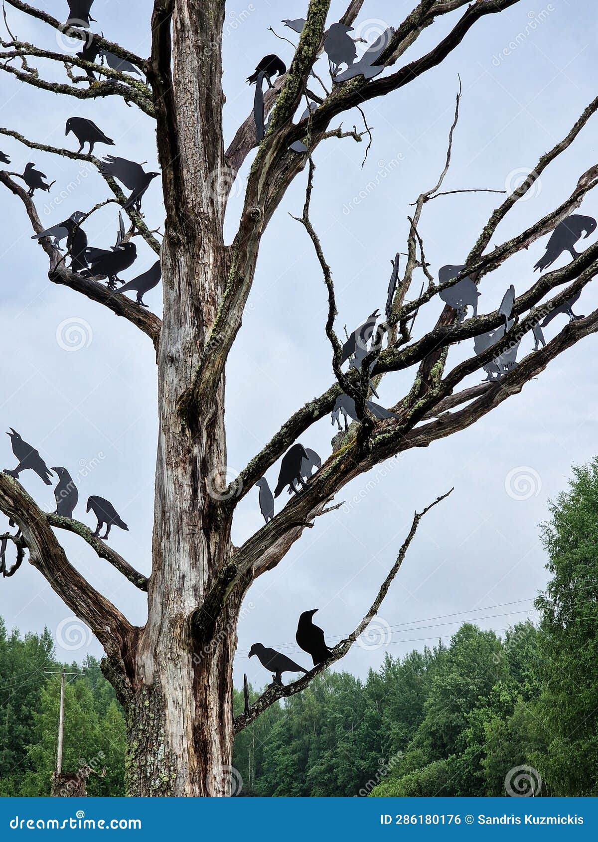 A Lot of Artificial Crows in a Dead Tree Stock Photo - Image of outdoor ...