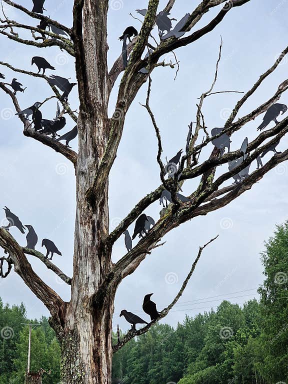 A Lot of Artificial Crows in a Dead Tree Stock Photo - Image of outdoor, tree: 286180176