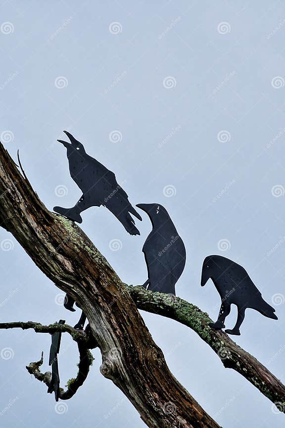 A Lot of Artificial Crows in a Dead Tree Stock Photo - Image of ...