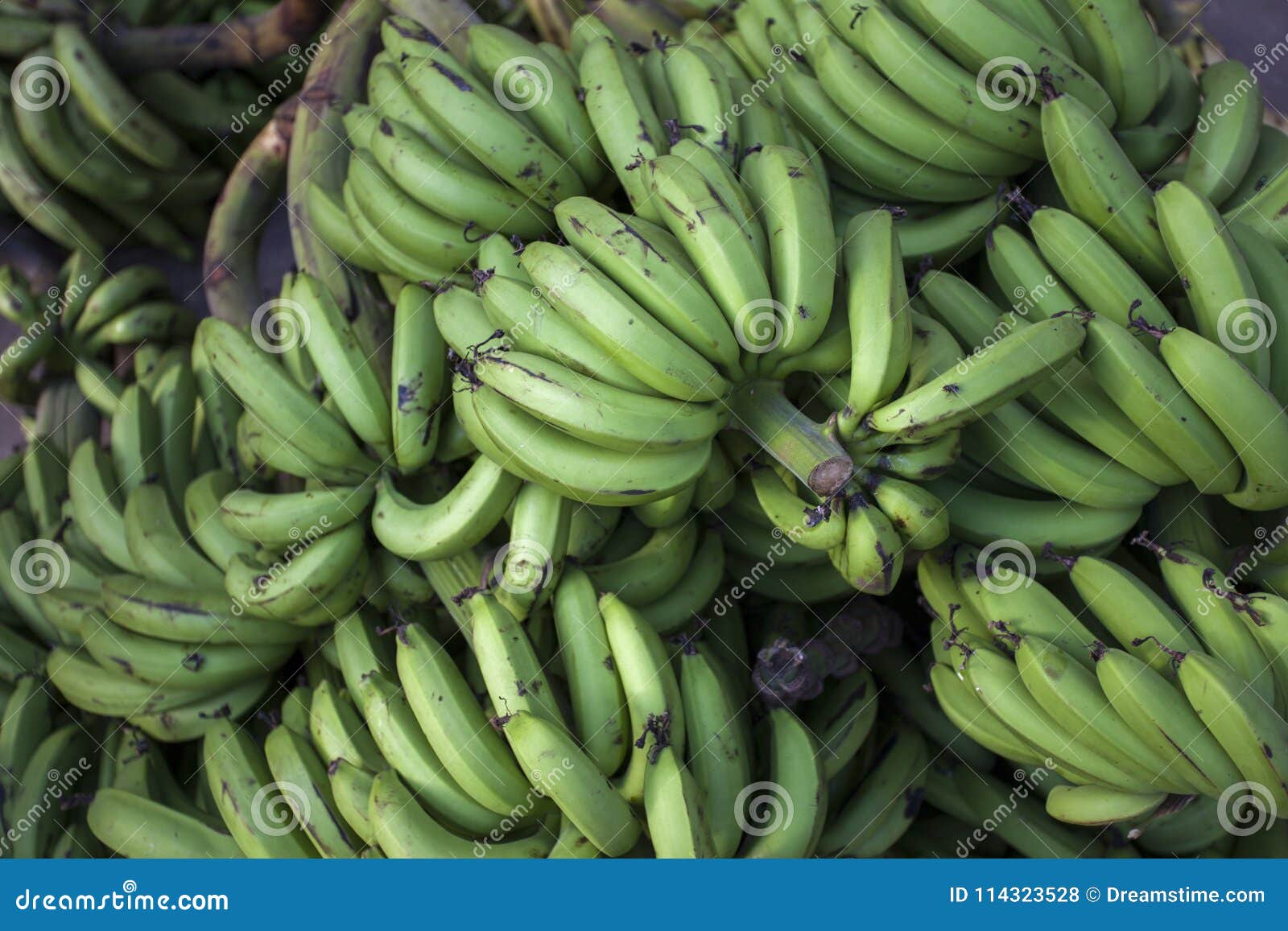 A lot of bananas stock photo. Image of banana, nutritious - 114323528